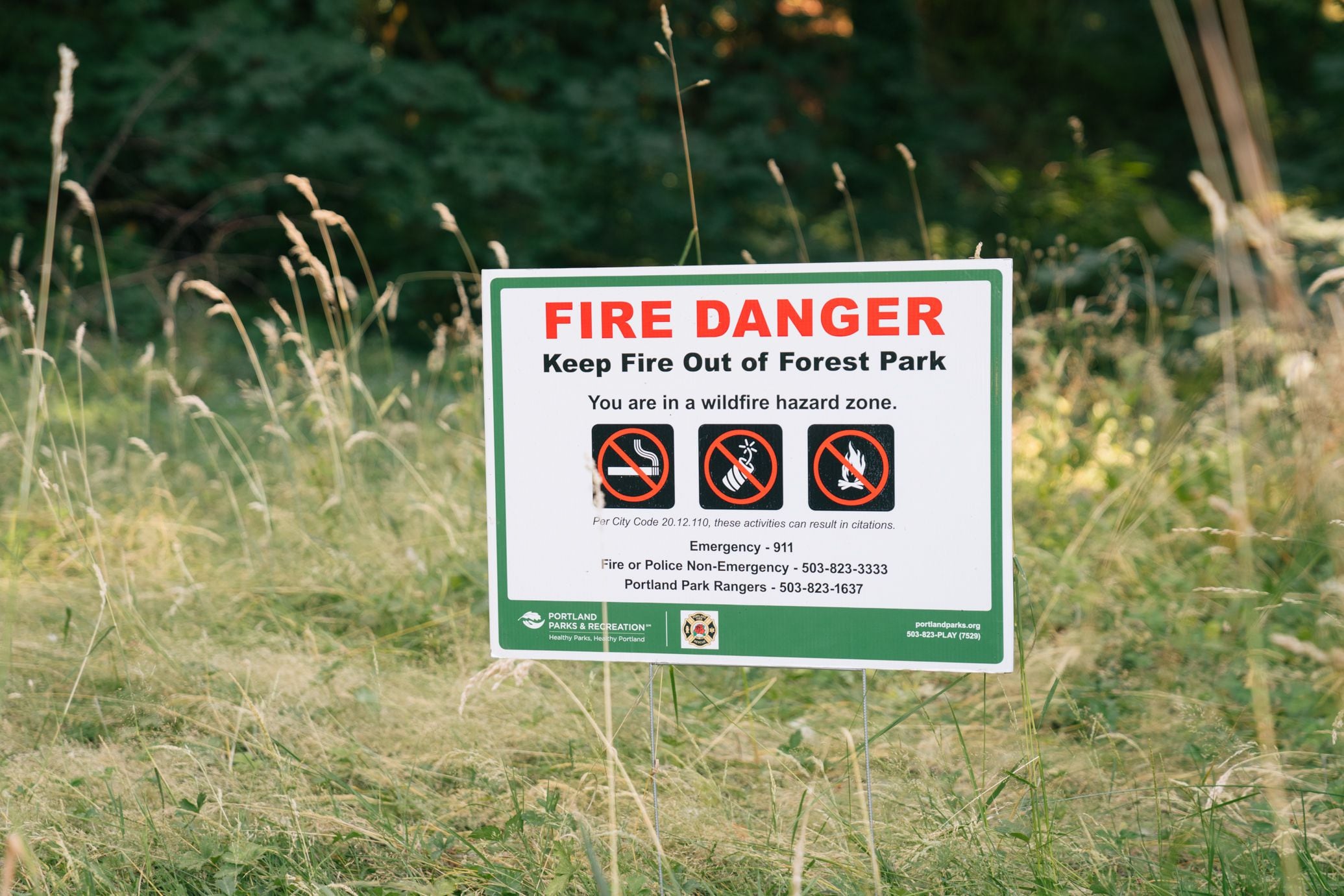 Can Fire In The Park