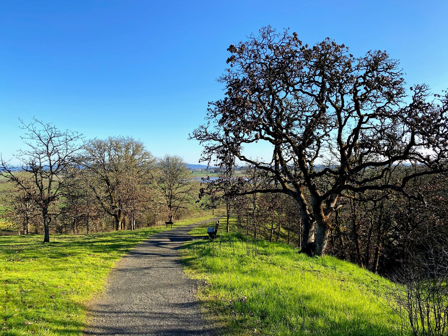 Hike of the Month: Baskett Butte Loop