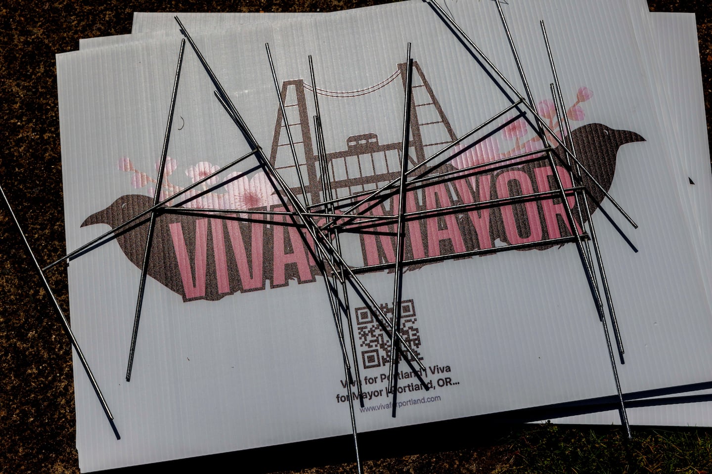 Liv Osthus Files to Run for Portland Mayor