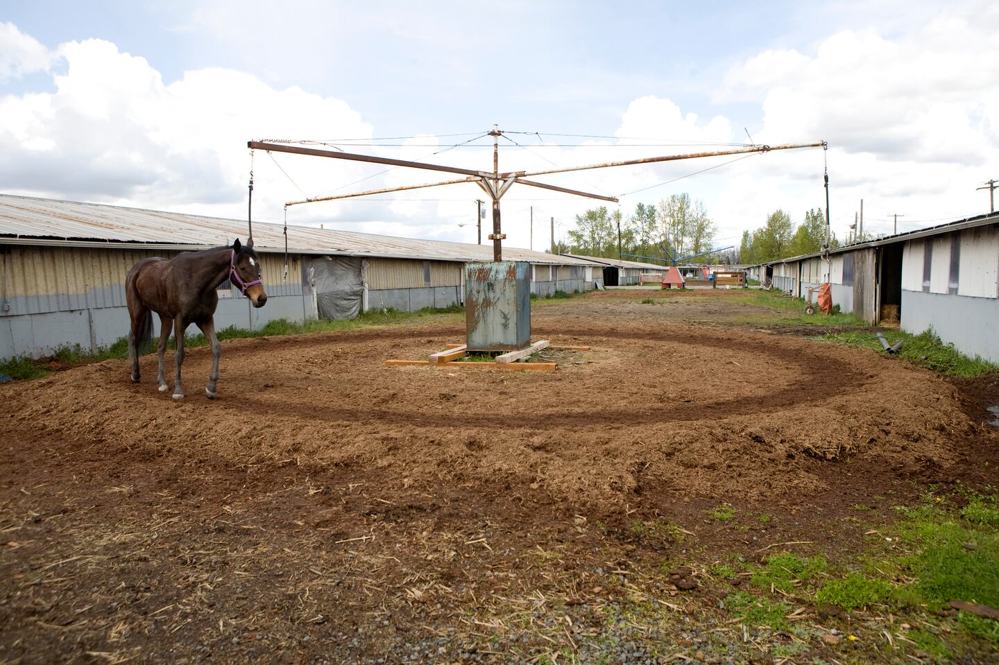 An Obscure Oregon Agency Props Up Greyhound and Horse Racing—and Gets ...