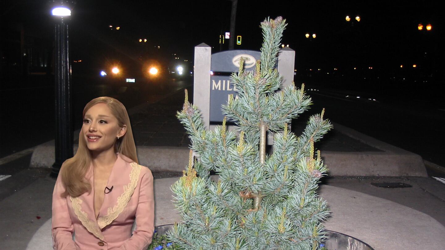 WW’s Ranking of Celebrity Trees of Portland