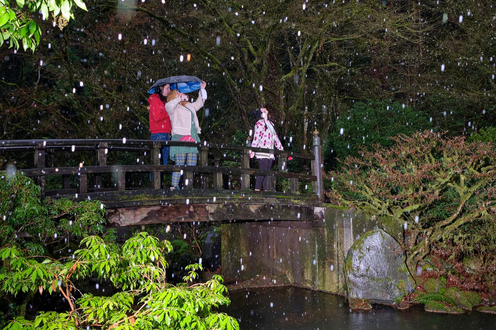 Welcoming the Year of the Rabbit at Portland Japanese Garden