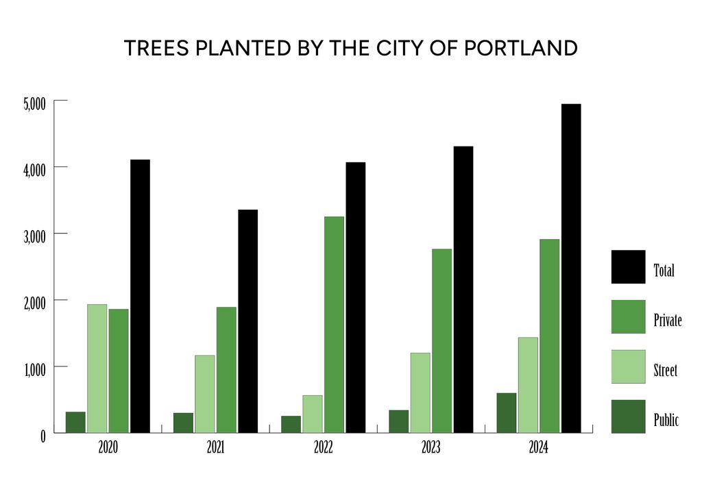 Fractured Relationships and Strict Rules Reduced Street Tree Planting ...