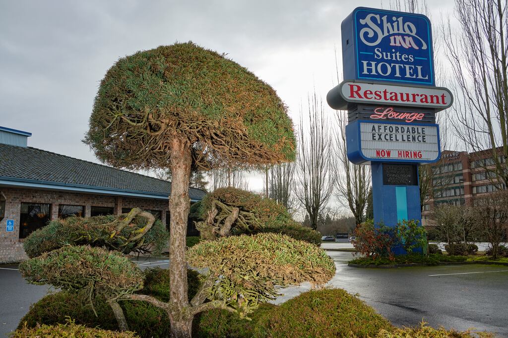 Shilo Inns Founder Mark Hemstreet Owes More Than $20 Million in Back Taxes