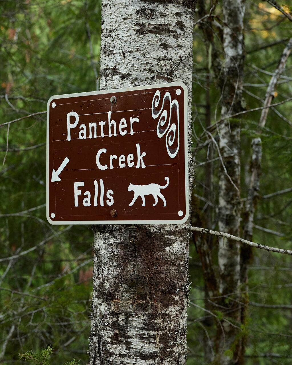 Backwoods Brewing Has Opened Phase One of Its Beer Campus: a Collection of Cozy Cabins.