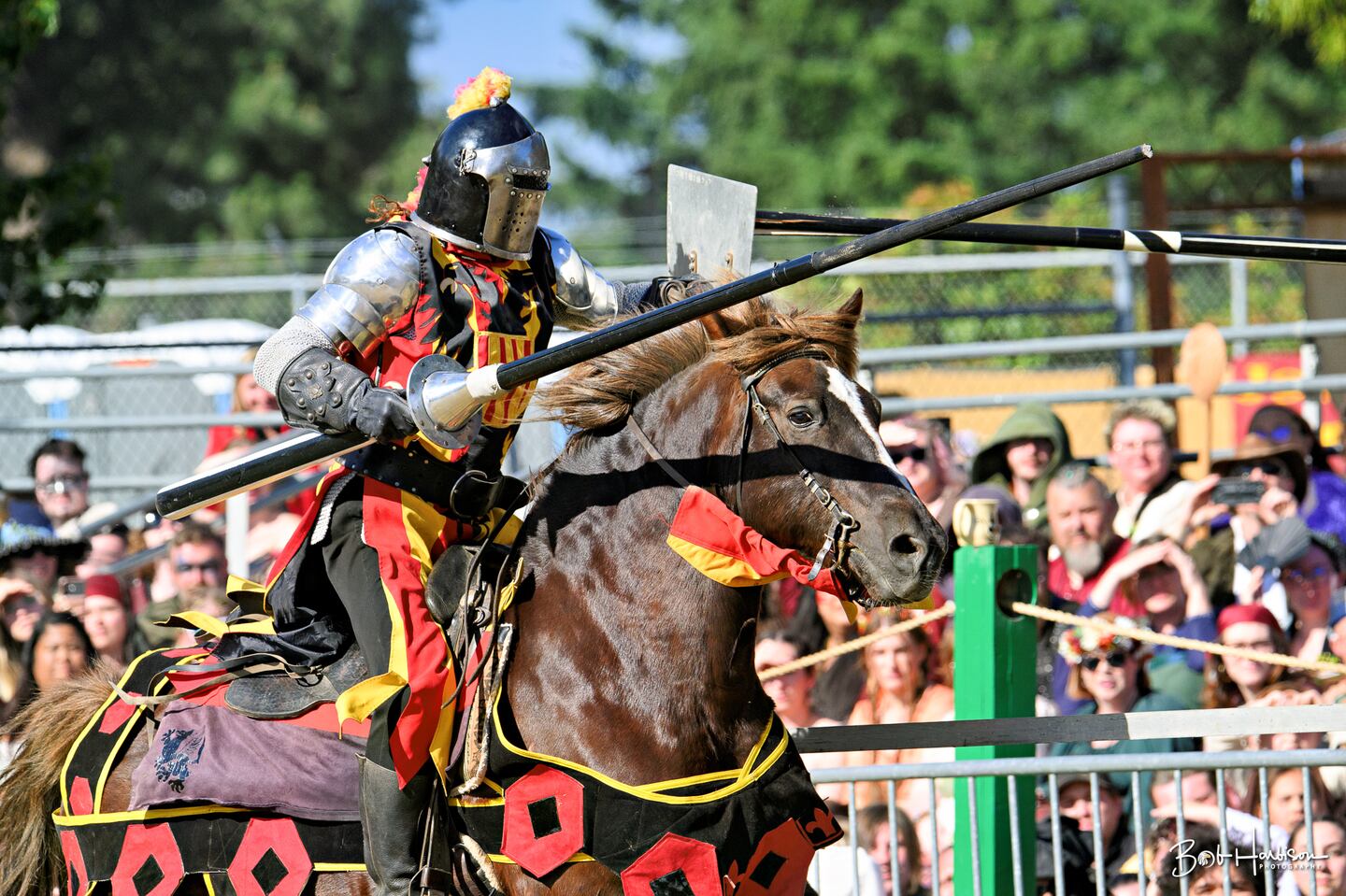 The Oregon Renaissance Faire Was Hit With Six OSHA Safety Violations at ...