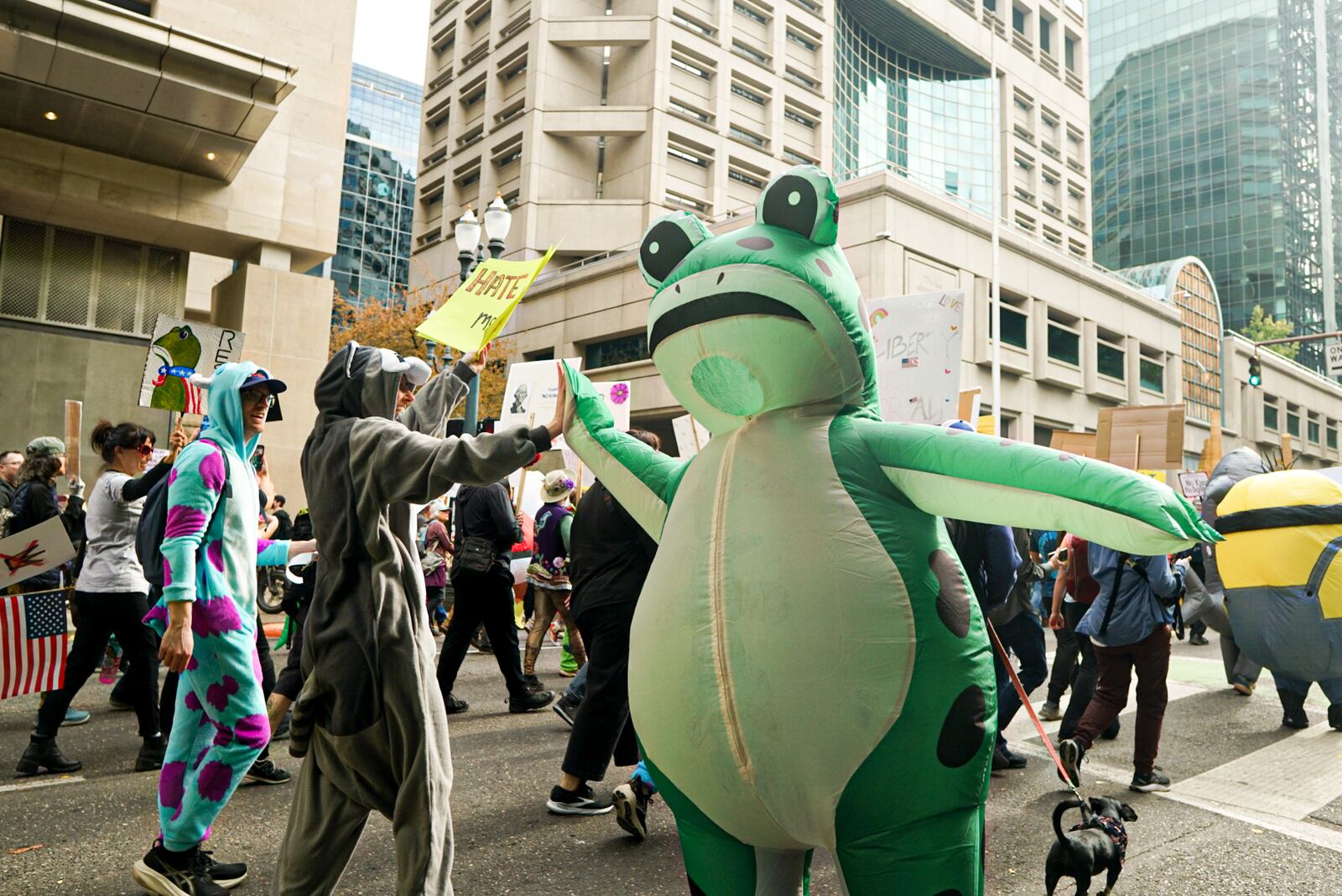 Frog March Against President Trump Draws Tens of Thousands to Downtown ...