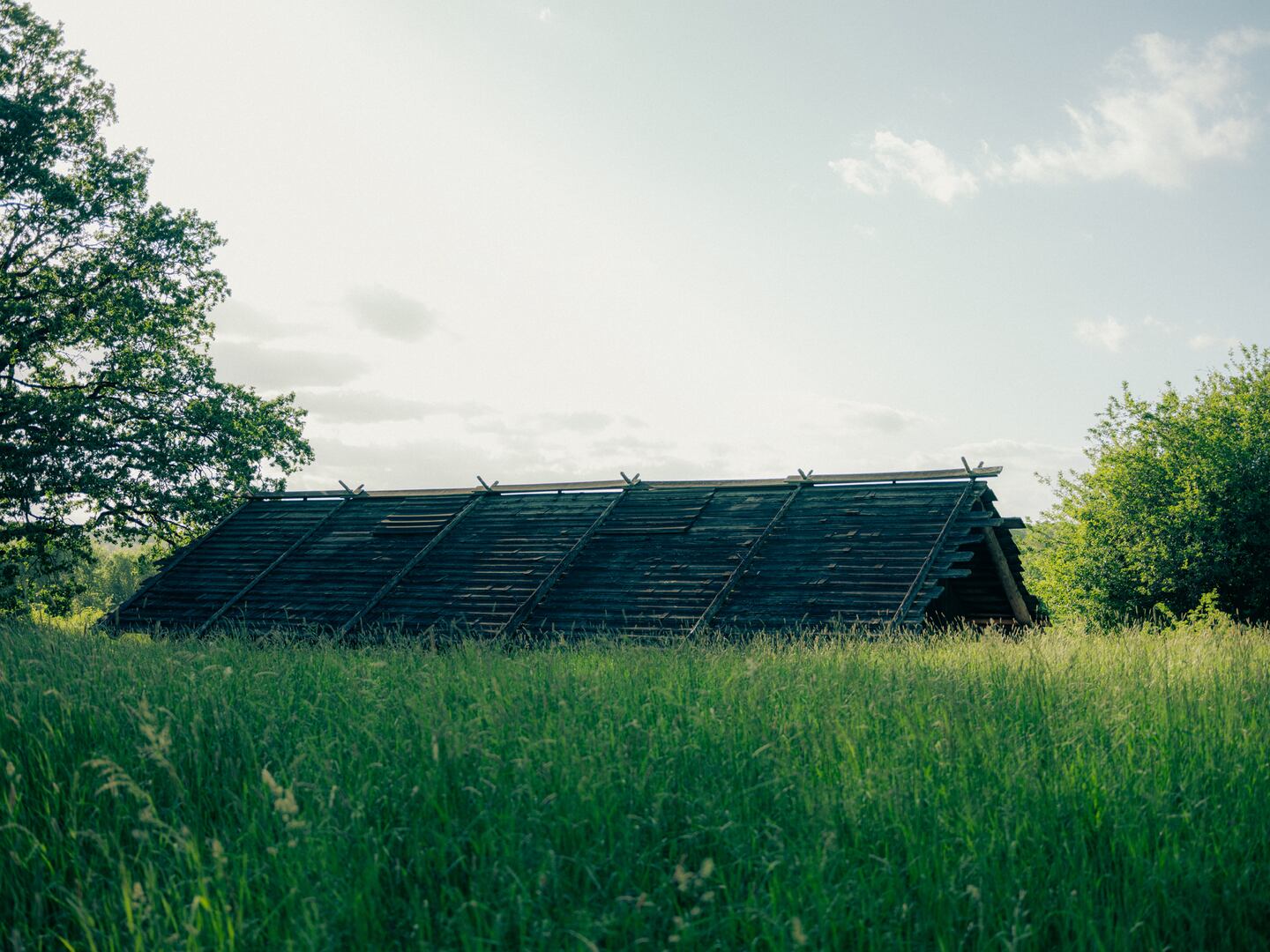 Oregon Summer Day Trip: Ridgefield