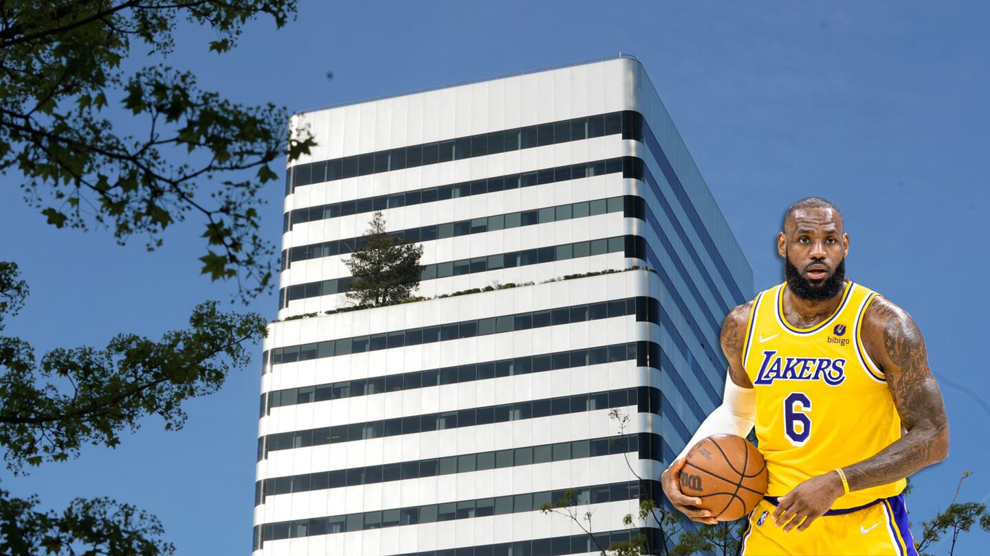 WW’s Ranking of Celebrity Trees of Portland