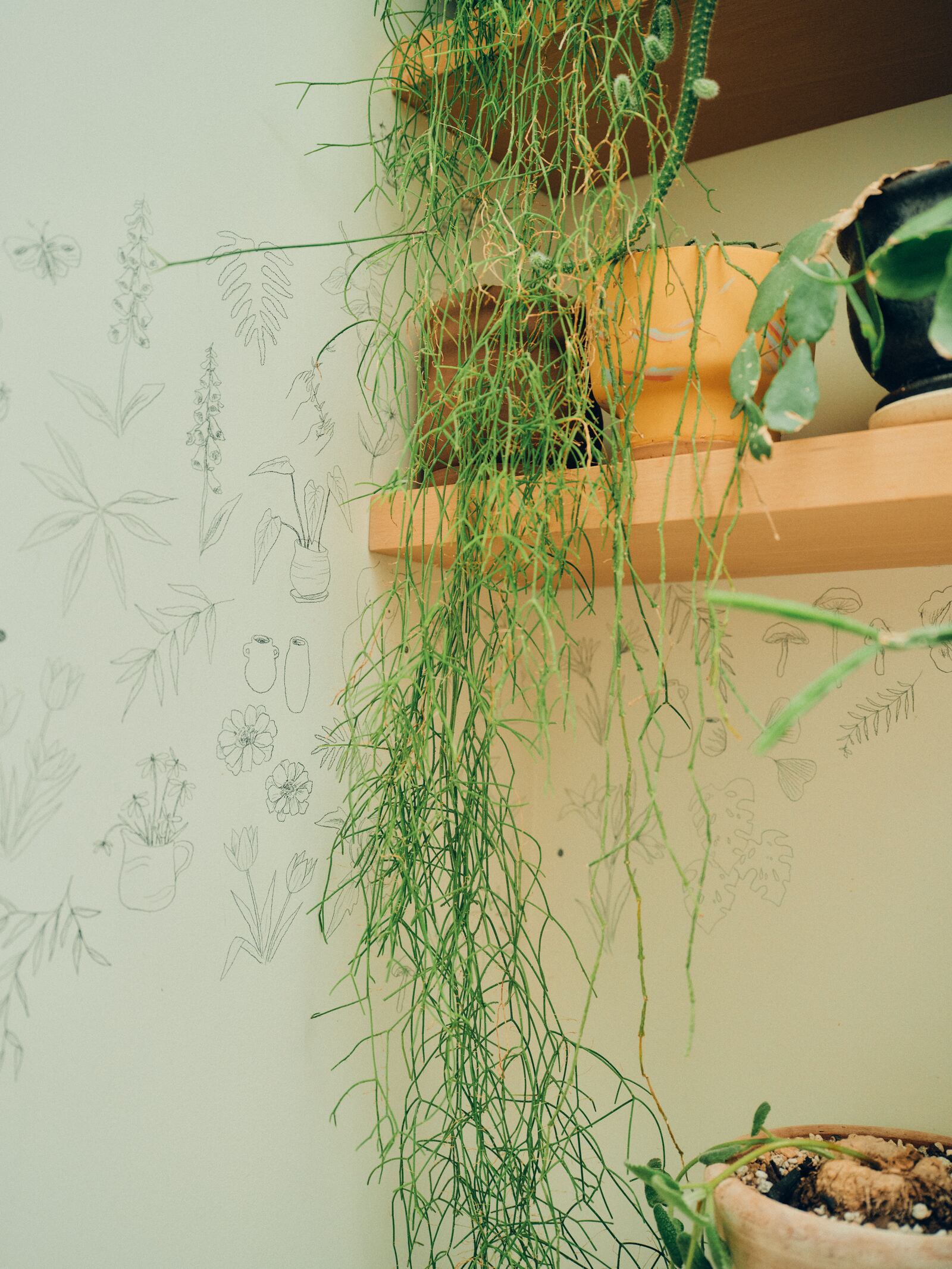 A Trip Inside the Home of Broker Erica Goodfriend