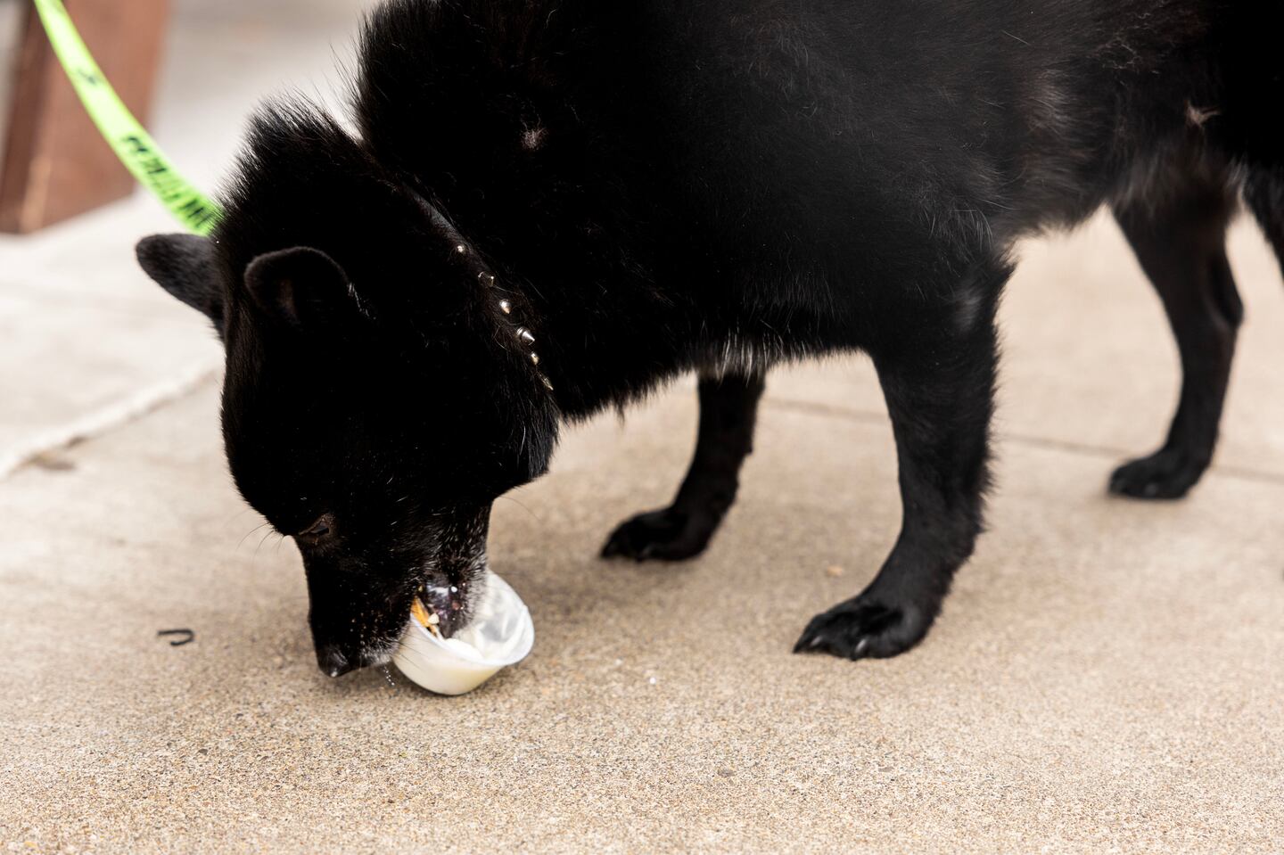 How The Decemberists’ Chris Funk Spends a Day in Portland