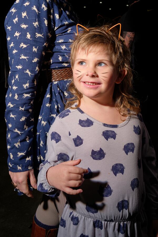 Cats, Practical and Otherwise, Filled the Portland Expo Center Last Weekend