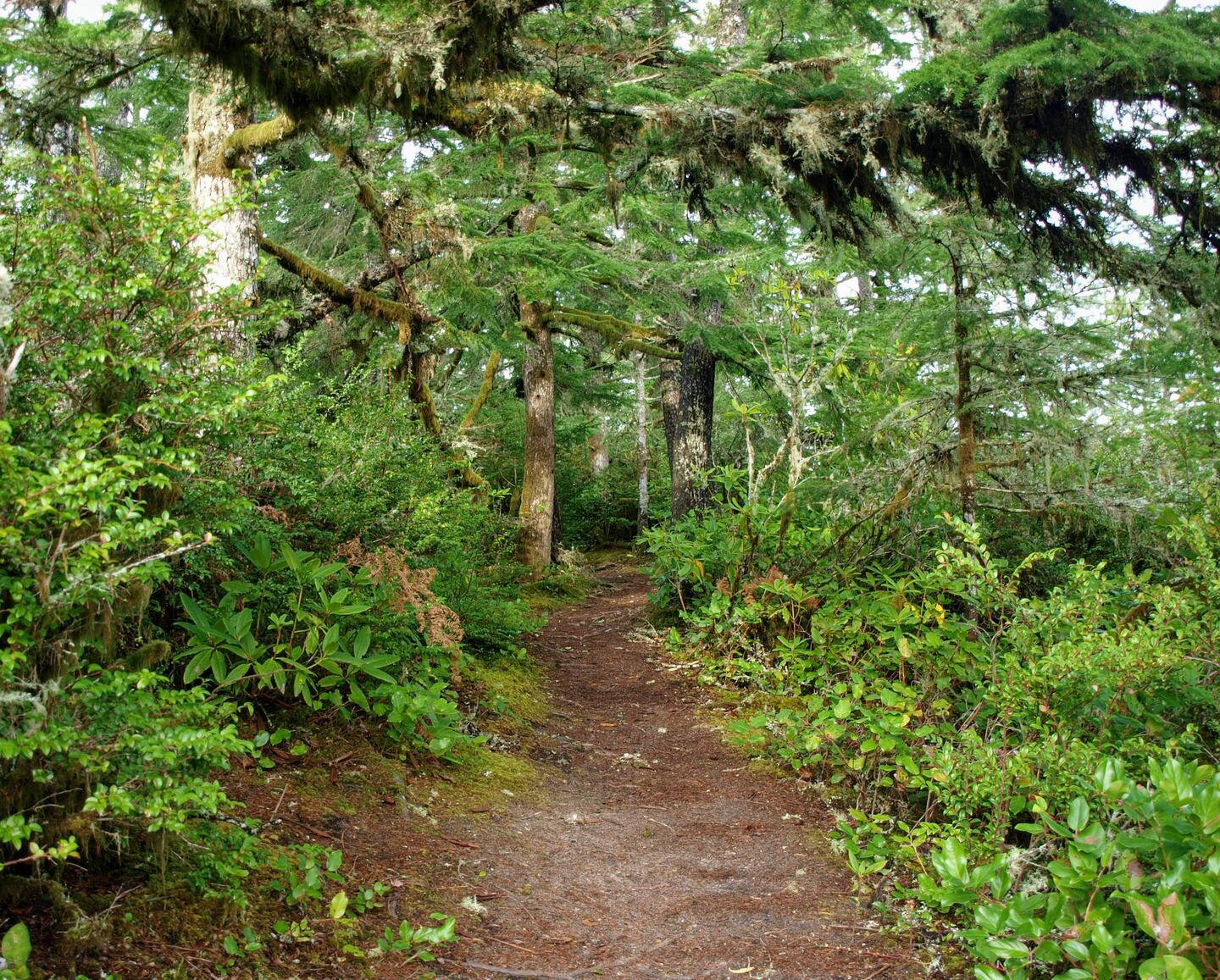 Hike of the Month: Whalen Island Loop