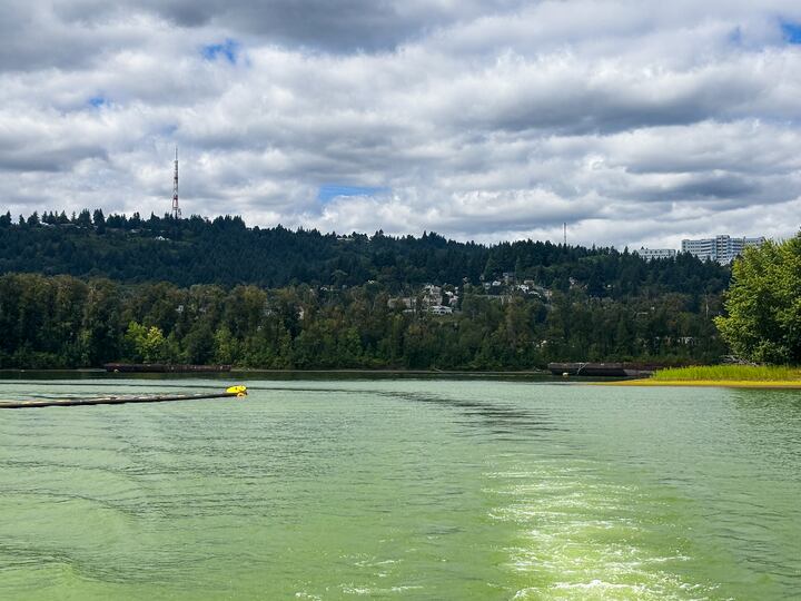 A New Approach Didn’t Curb the Spread of a Toxic Algae Bloom in the ...