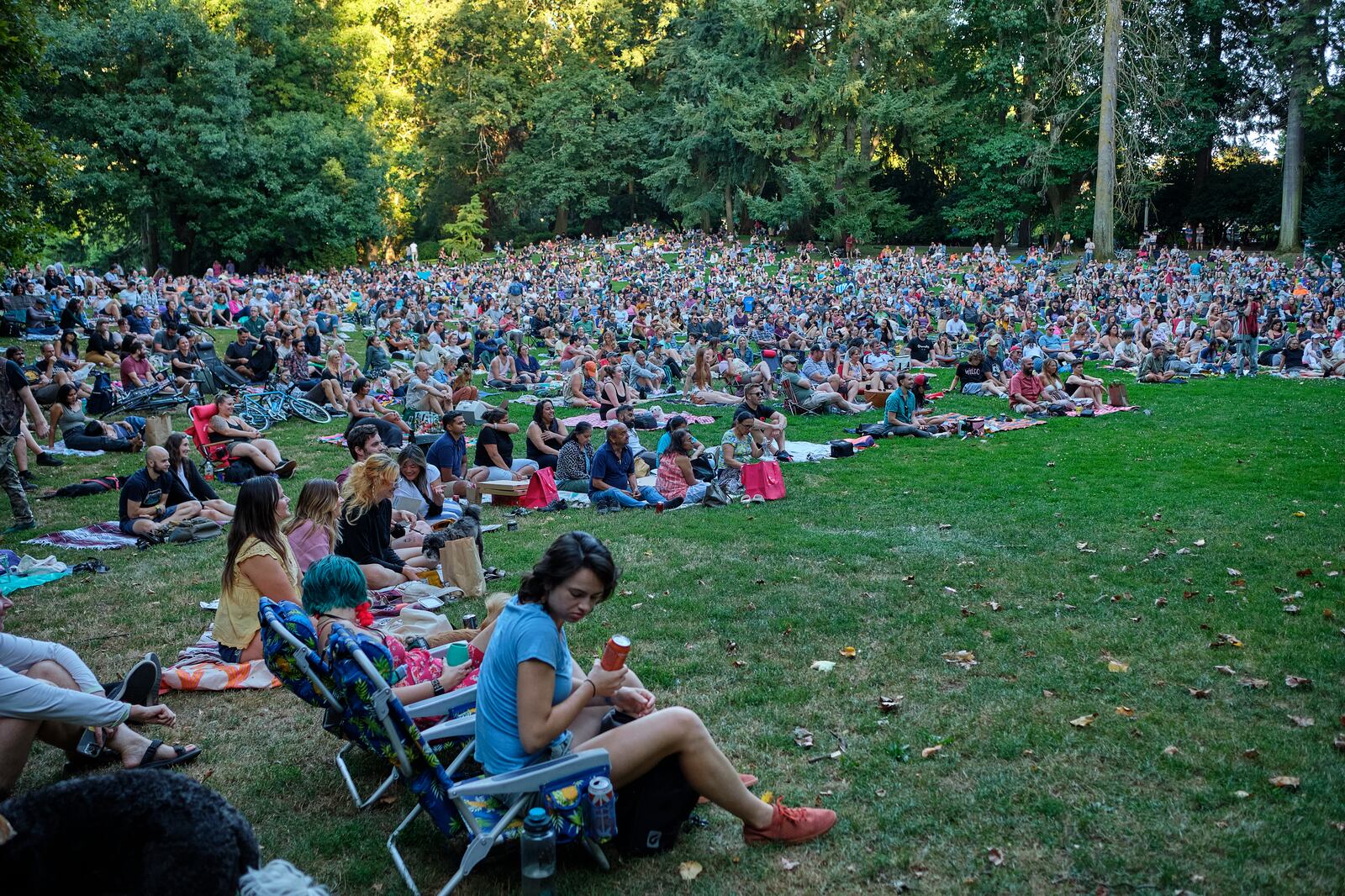 What’s the Deal With All These Comedians in Laurelhurst Park?