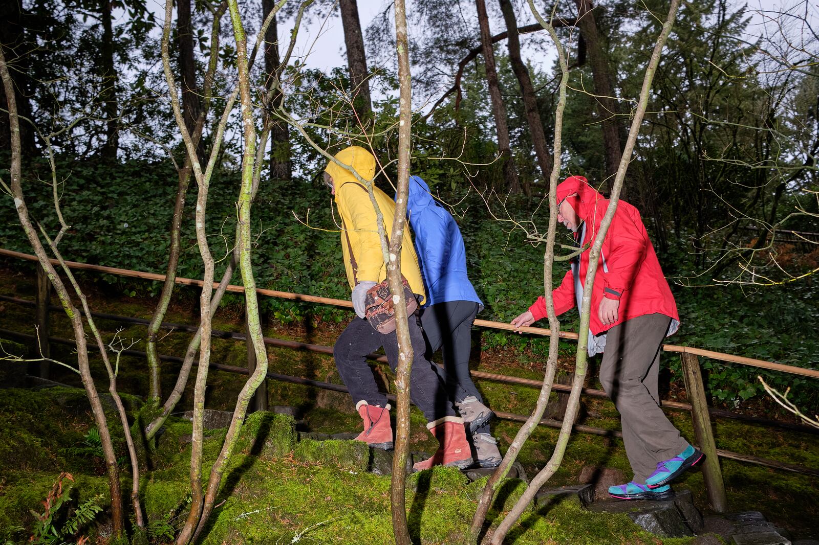 Welcoming the Year of the Rabbit at Portland Japanese Garden