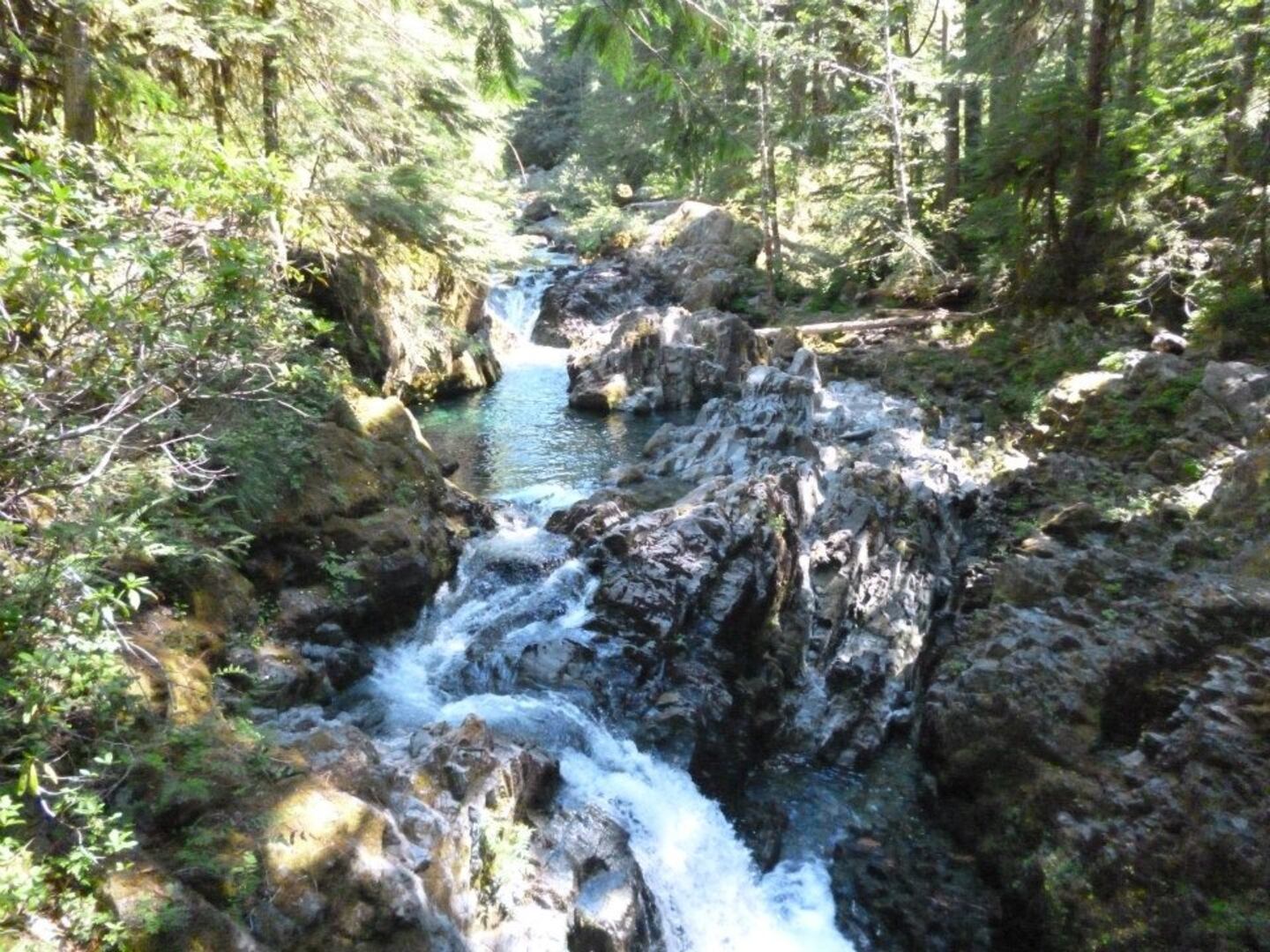 Nearly 200,000 Acres of Fire-Damaged Forest in Santiam Canyon Has ...