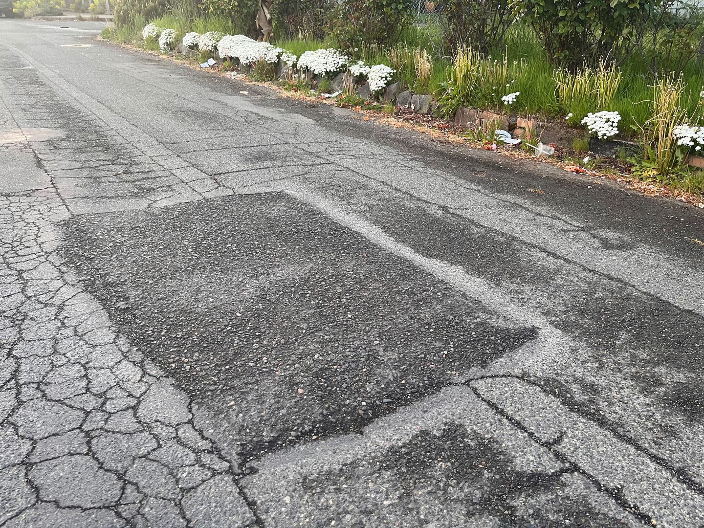 See Portland’s Biggest Pothole