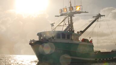 Oregon Dungeness Crab Commission Celebrates the State’s Official Crustacean