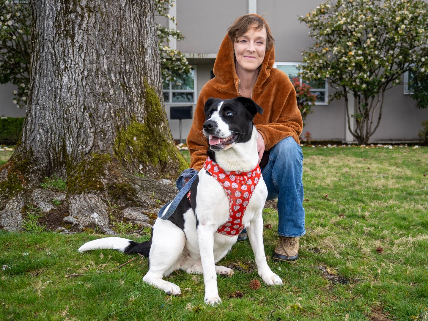 Can Clinton Triangle, the Mayor’s First Large Shelter Site, Offer a New ...
