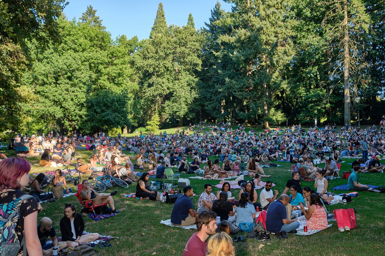 What’s the Deal With All These Comedians in Laurelhurst Park?