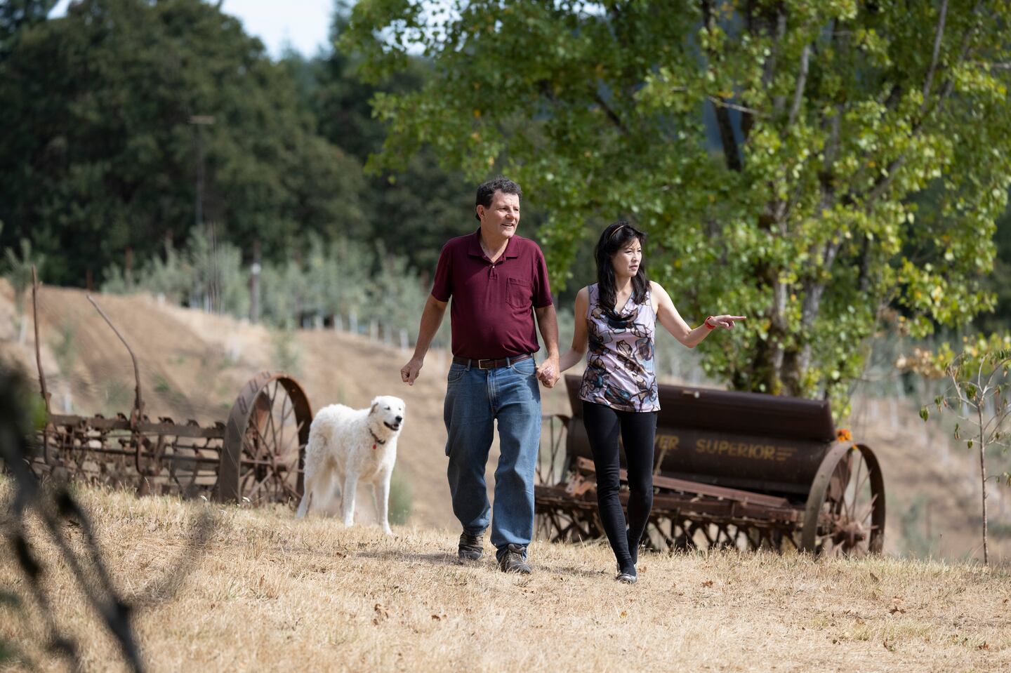 Nick Kristof’s Charmed Journey From Yamhill to the World’s Hot Spots ...