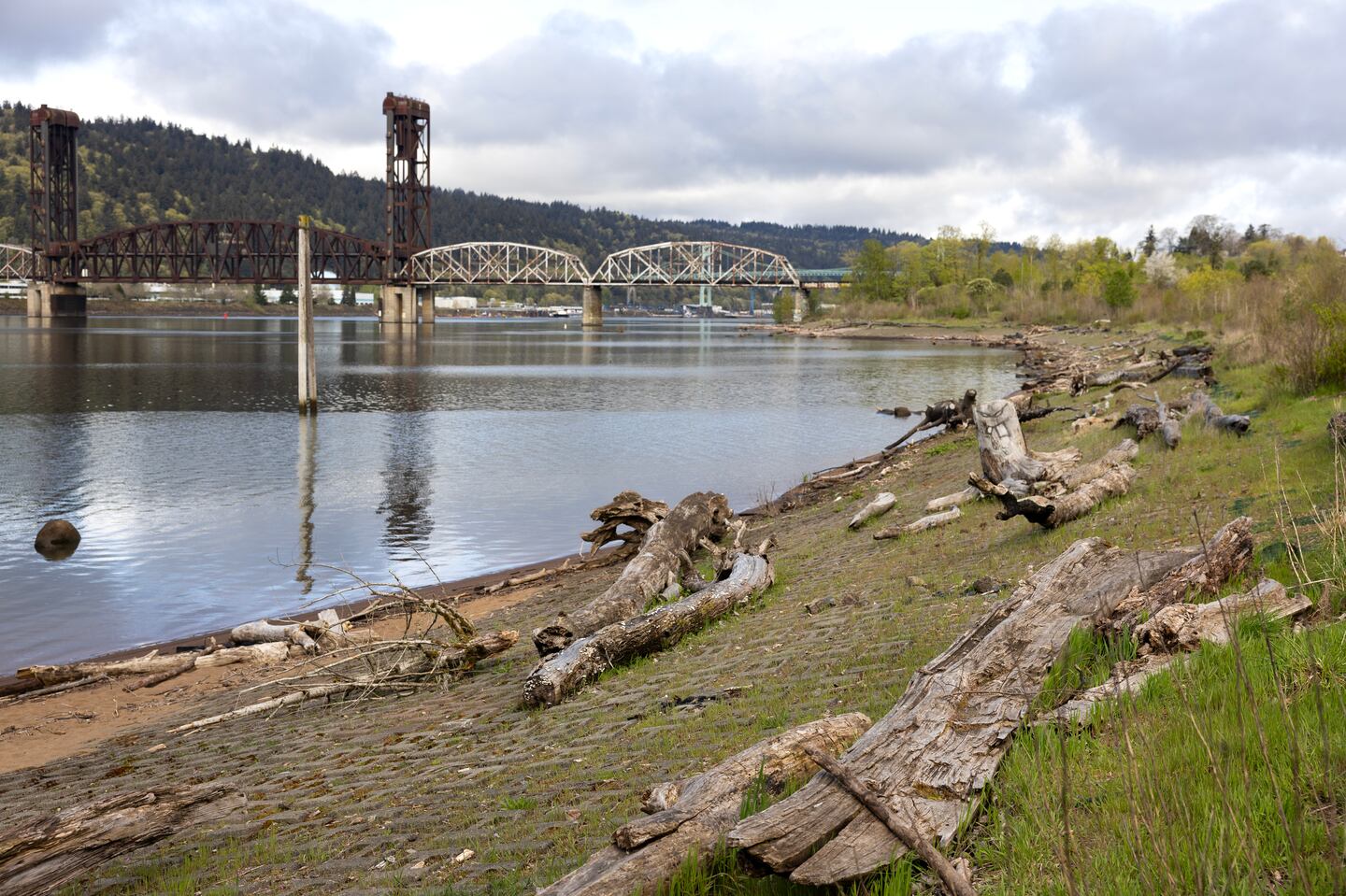 A Once-Polluted Stretch of Riverfront Has Been Clean for Nearly 20 ...