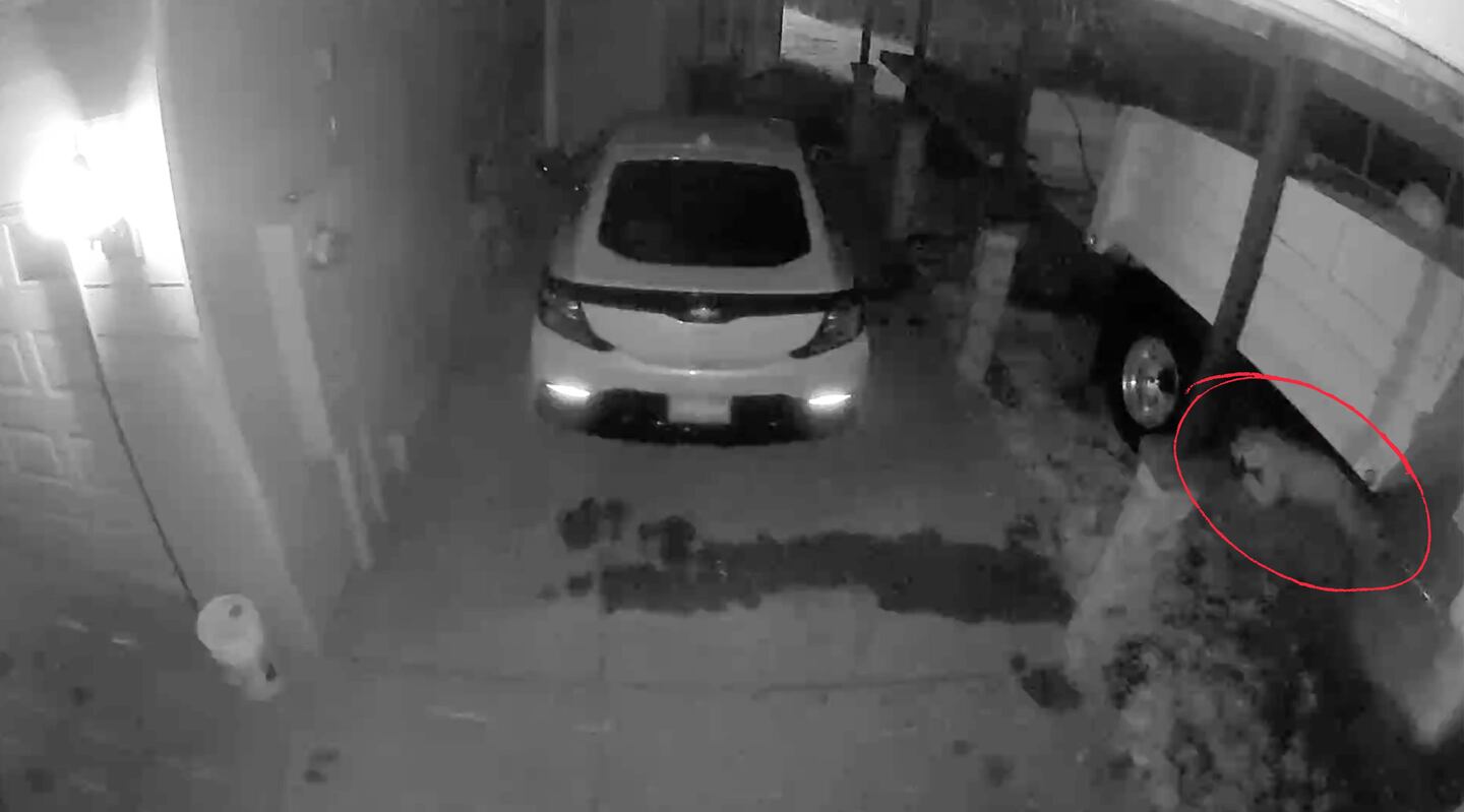 Everybody Loved the Veterinarian Who Stalked Kenny Fandrich